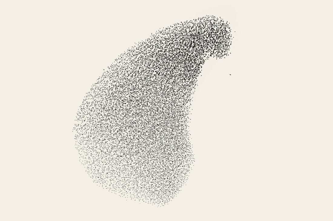 Forms of murmurations - Minimalist Photography Awards